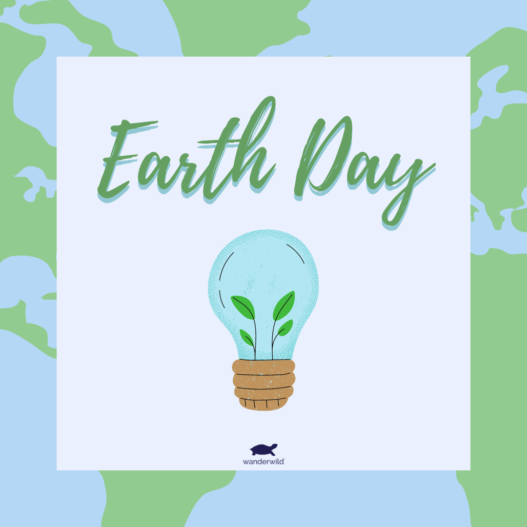 Let's Celebrate Earth Day! – WANDERWILD CO