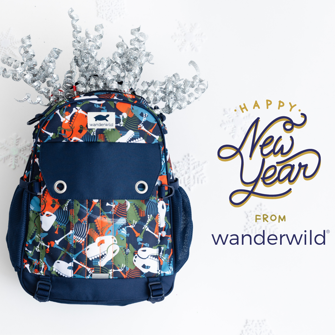 New Year, New Adventures! – WANDERWILD CO