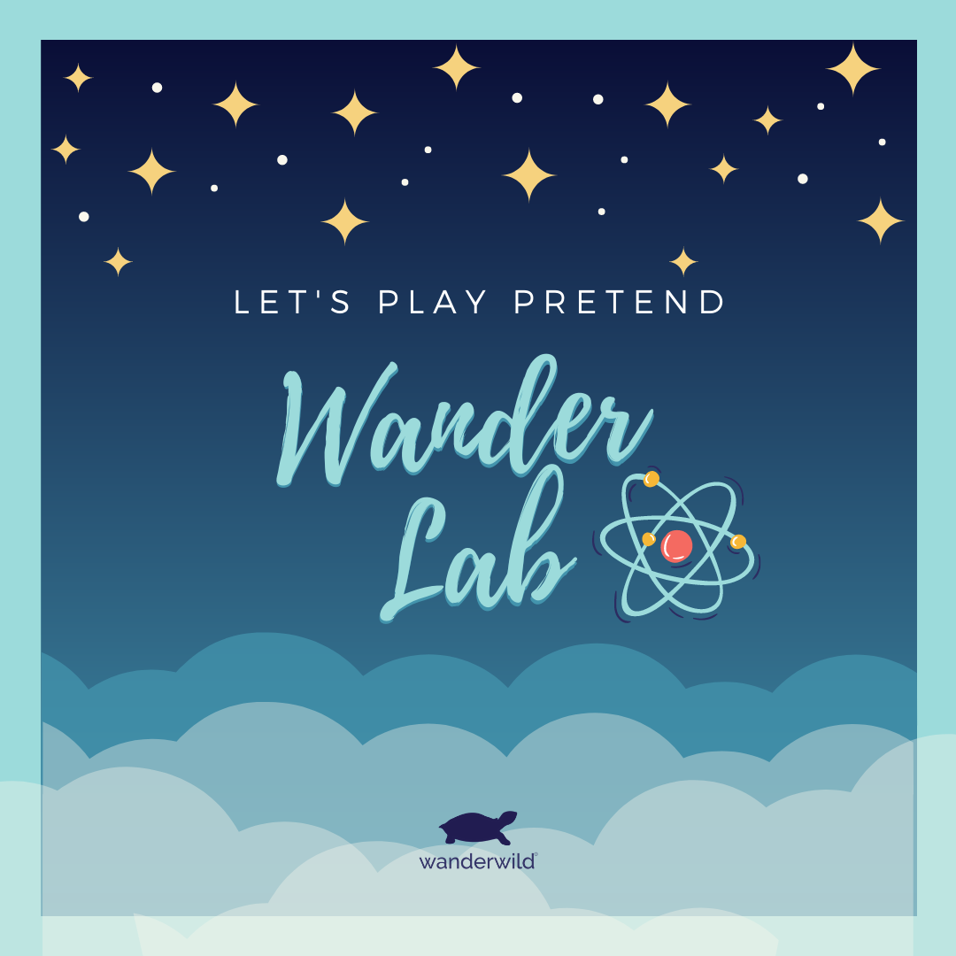 Let's Play Pretend - Wander Lab – WANDERWILD CO