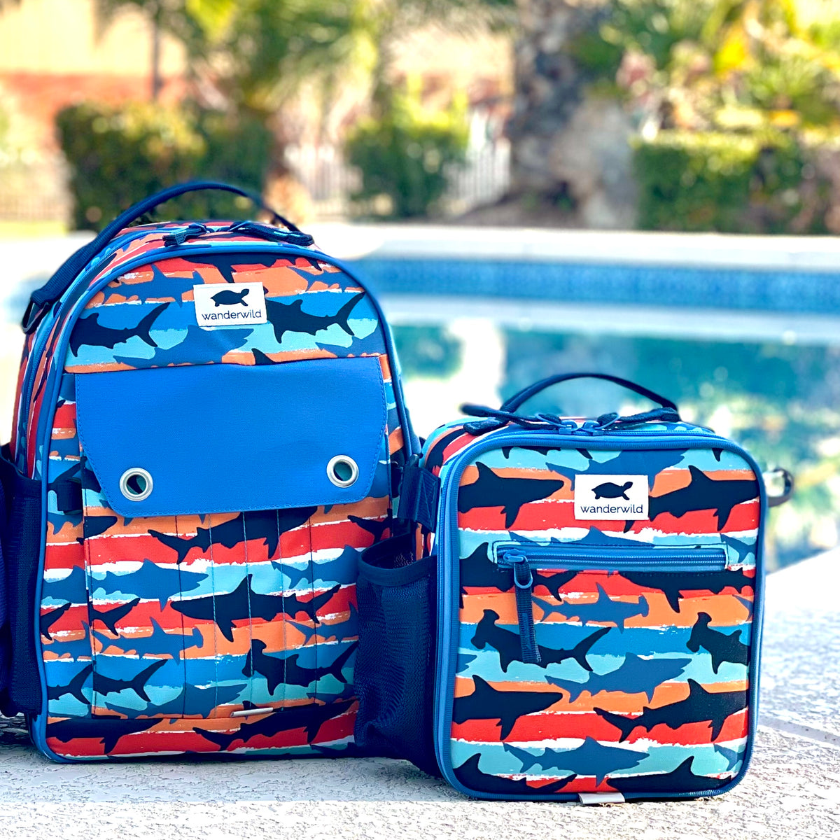 Introducing.... Shark Tide! – WANDERWILD CO